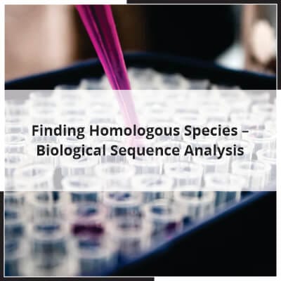 Patent Sequence Listing Company | Sequence Listing Preparation Firms